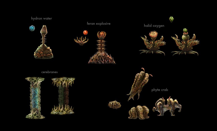 WI: Waking Mars occurs IRL (life discovered on Mars) | SpaceBattles